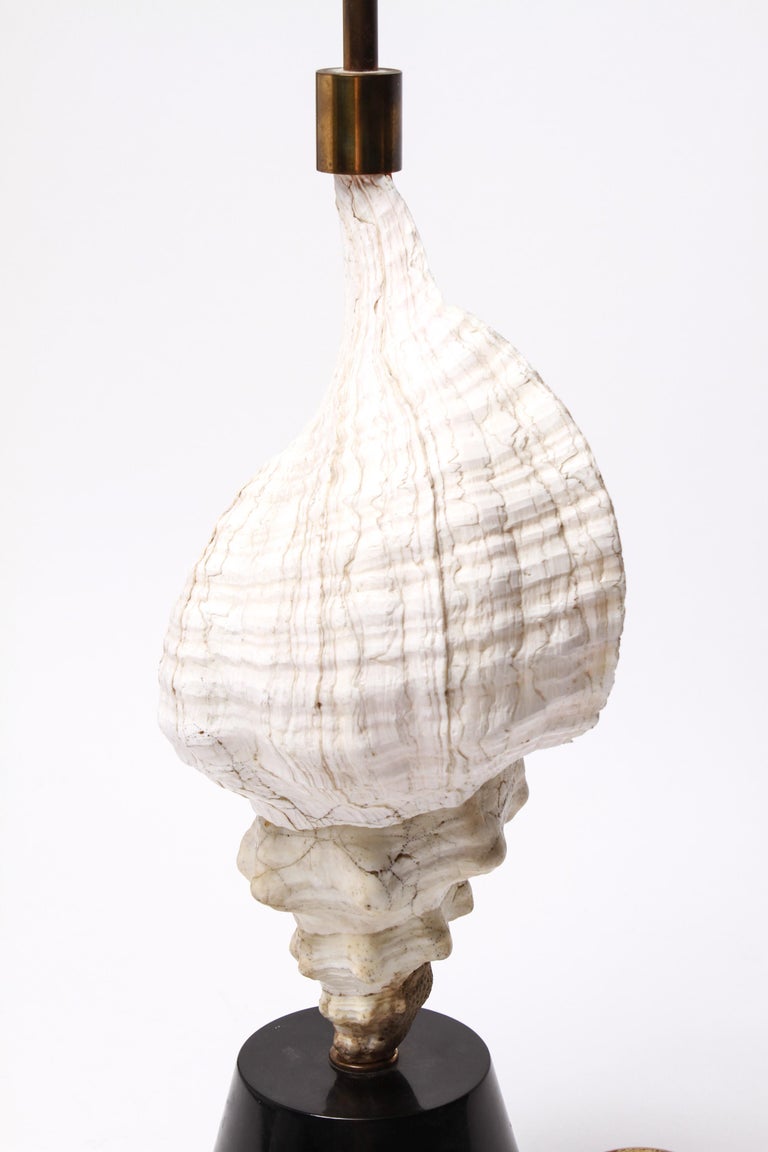 Mid-Century Modern Conch Seashell Table Lamp at 1stDibs