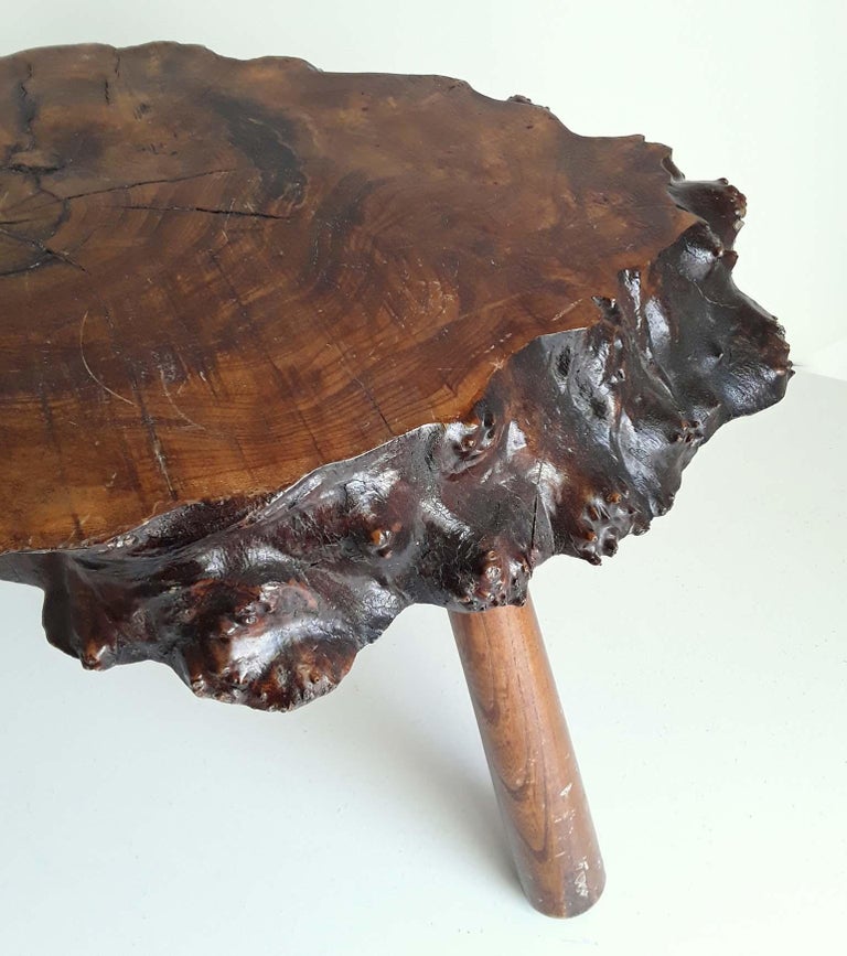 Mid-Century Modern English Root Wood Table on Tripod Legs at 1stDibs
