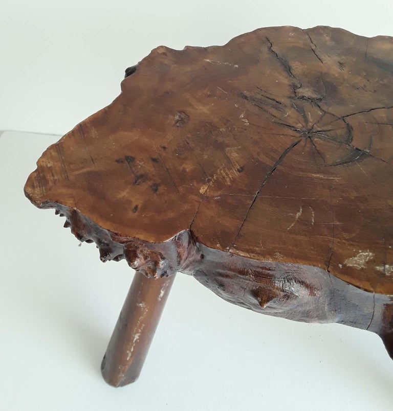 Mid-Century Modern English Root Wood Table on Tripod Legs at 1stDibs