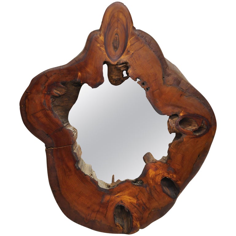 Mid-Century Modern Live Edge Tree Trunk Free Form Wood Log Wall Mirror ...