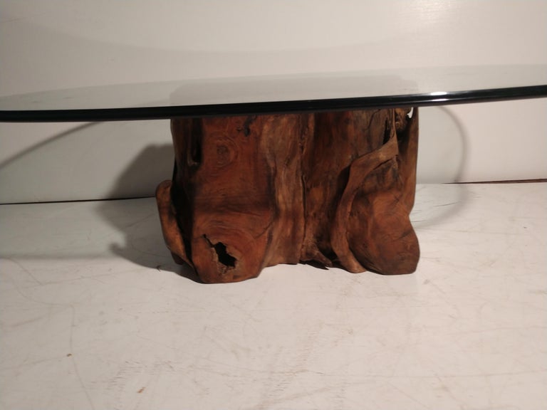 Mid-Century Modern Organic Tree Root Base Cocktail Table For Sale at ...