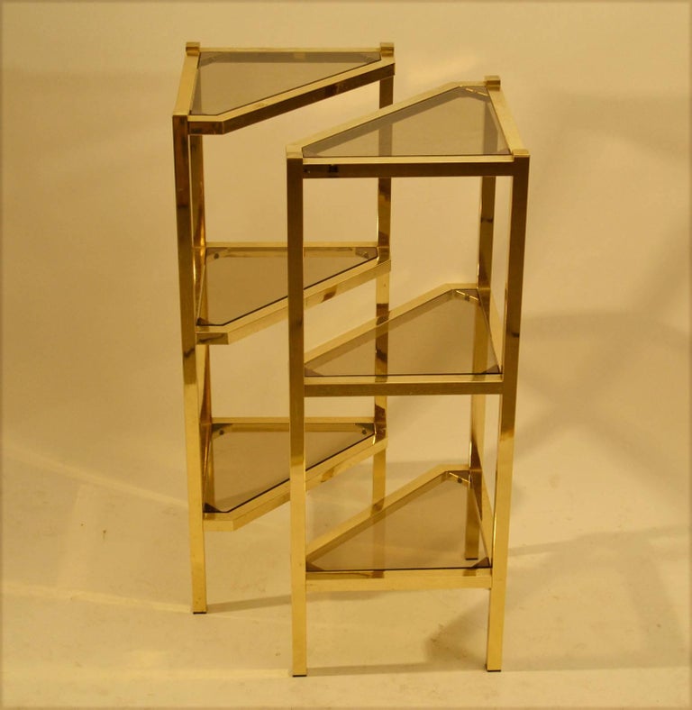 Pair of Triangular Brass and Glass 1970's Shelving Units For Sale at ...