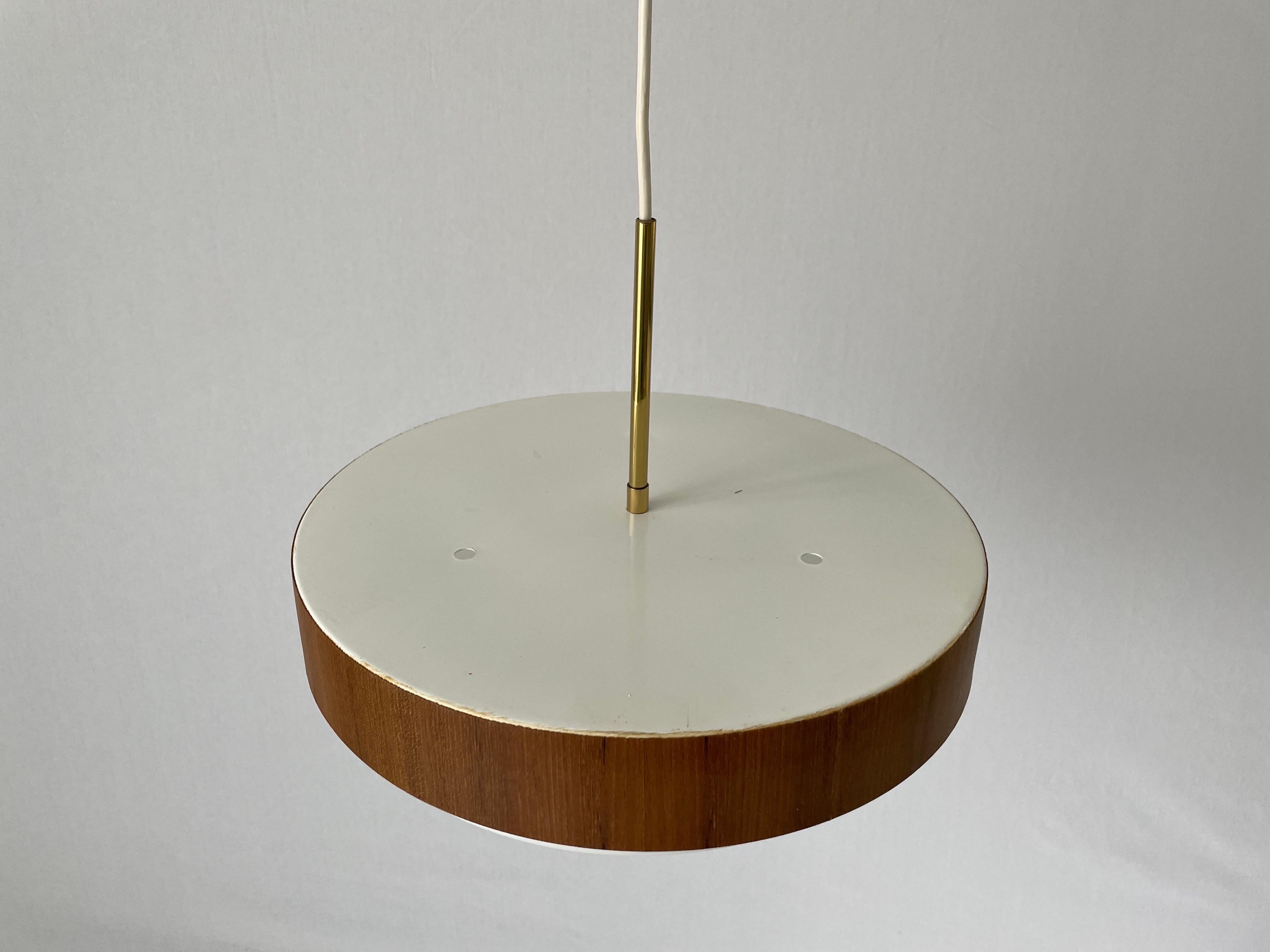 Mid-century Modern Plexiglass Metal Ceiling Lamp by Schmelzer, 1960s ...