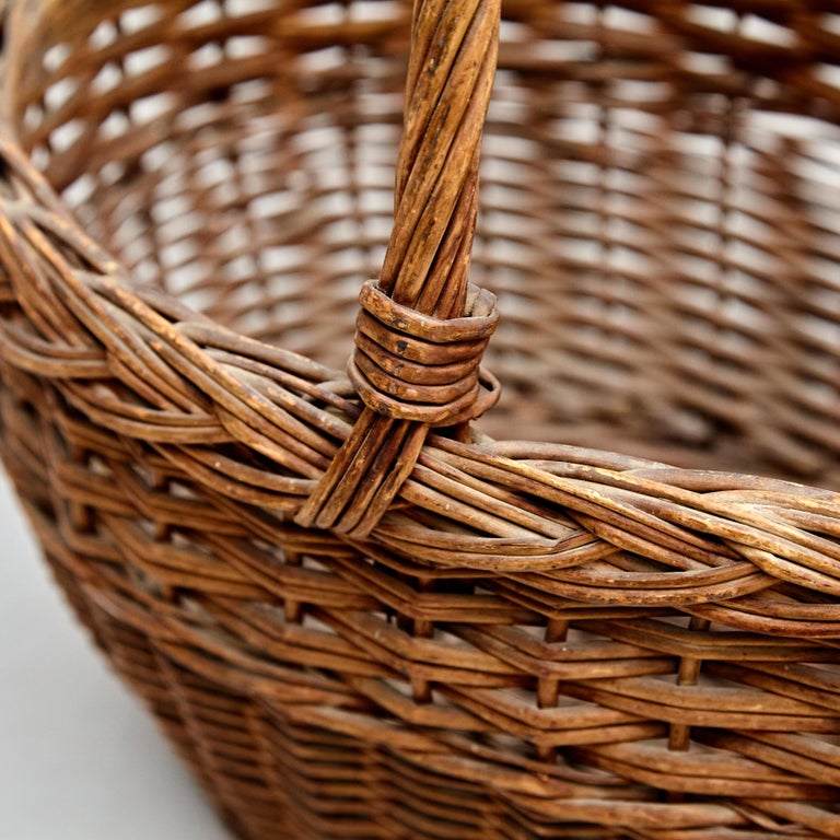 Mid-Century Modern Rattan Rustic Basket, circa 1960 For Sale at 1stDibs
