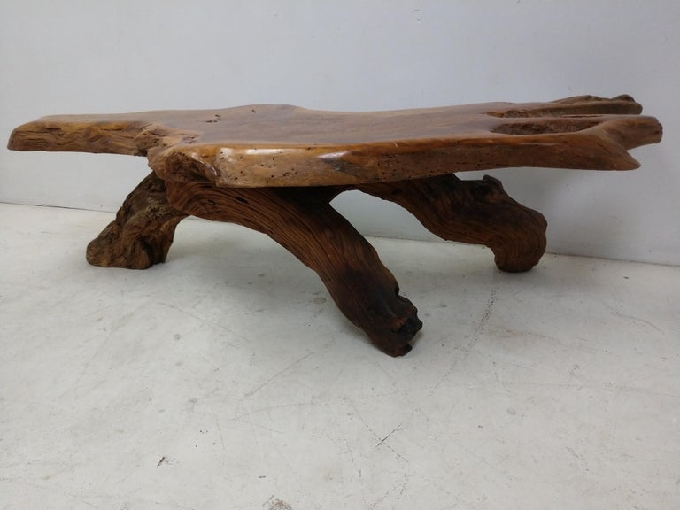 Mid-Century Modern Root Slab Live Edge Cocktail Table at 1stDibs