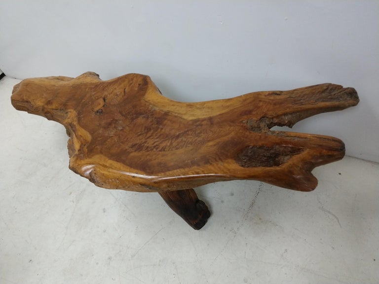 Mid-Century Modern Root Slab Live Edge Cocktail Table at 1stDibs