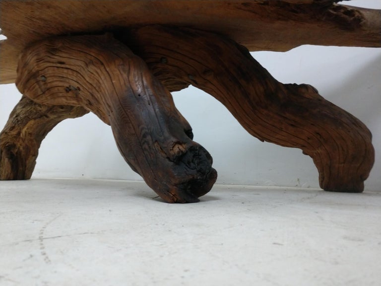 Mid-Century Modern Root Slab Live Edge Cocktail Table at 1stDibs