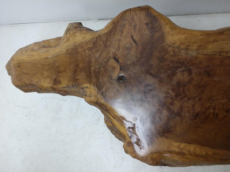 Mid-Century Modern Root Slab Live Edge Cocktail Table at 1stDibs