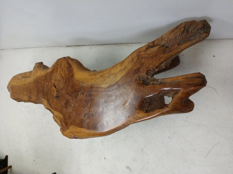 Mid-Century Modern Root Slab Live Edge Cocktail Table at 1stDibs