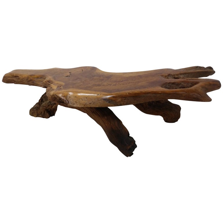 Mid-Century Modern Root Slab Live Edge Cocktail Table at 1stDibs