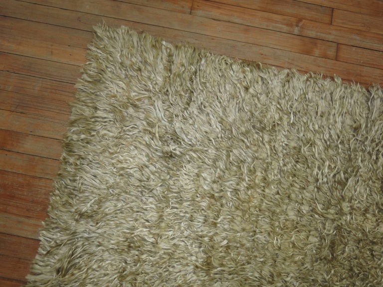 Mid-Century Modern Shag Rug For Sale at 1stDibs