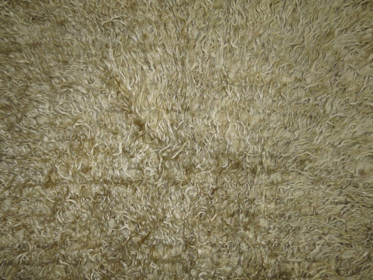 Mid-Century Modern Shag Rug For Sale at 1stDibs