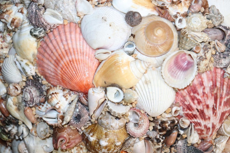 Mid-Century Modern Shell Encrusted Sculpture on Edgar Brandt Style ...