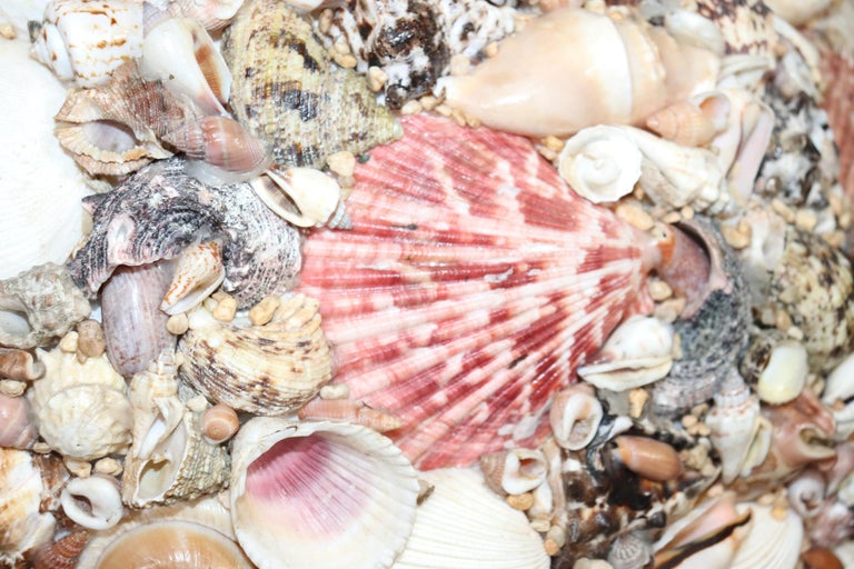 Mid-Century Modern Shell Encrusted Sculpture on Edgar Brandt Style ...