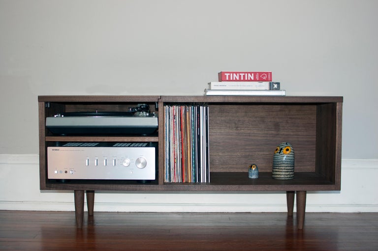 Mid-Century Modern Stereo Credenza For Sale at 1stDibs