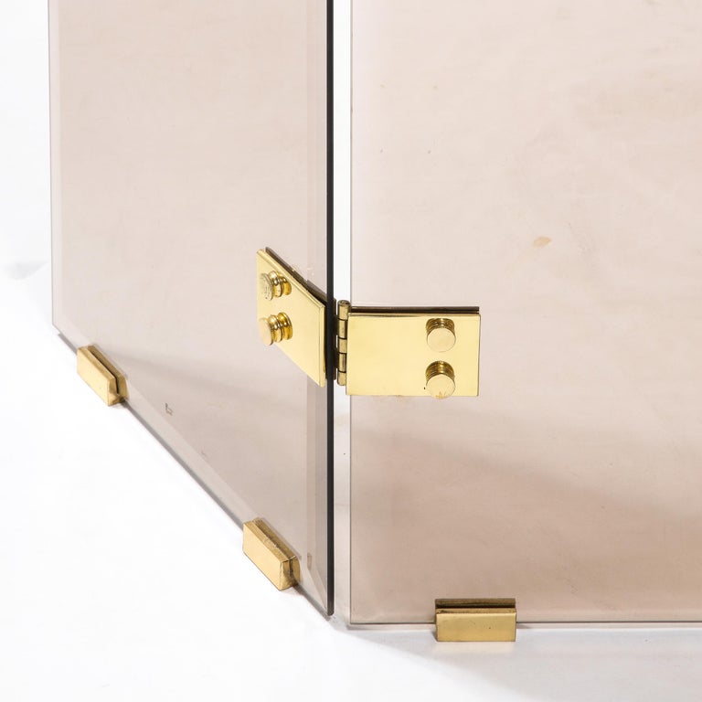 Mid-Century Modern Tri-Fold Smoked Glass Fire Screen with Brass Hinges ...
