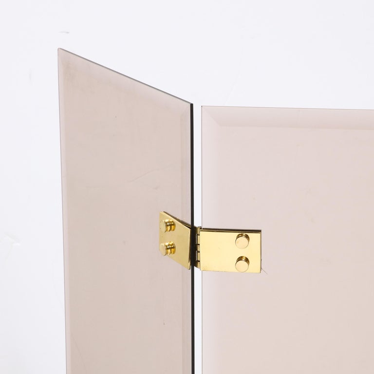 Mid-Century Modern Tri-Fold Smoked Glass Fire Screen with Brass Hinges ...
