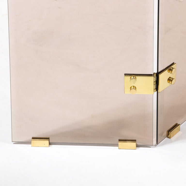 Mid-Century Modern Tri-Fold Smoked Glass Fire Screen with Brass Hinges ...