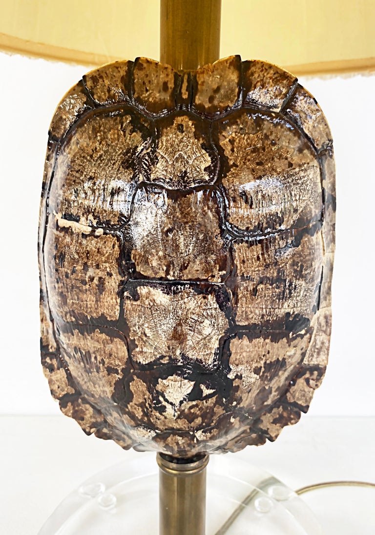 Mid-Century Modern Turtle Shell Table Lamp with Lucite Base and Custom ...