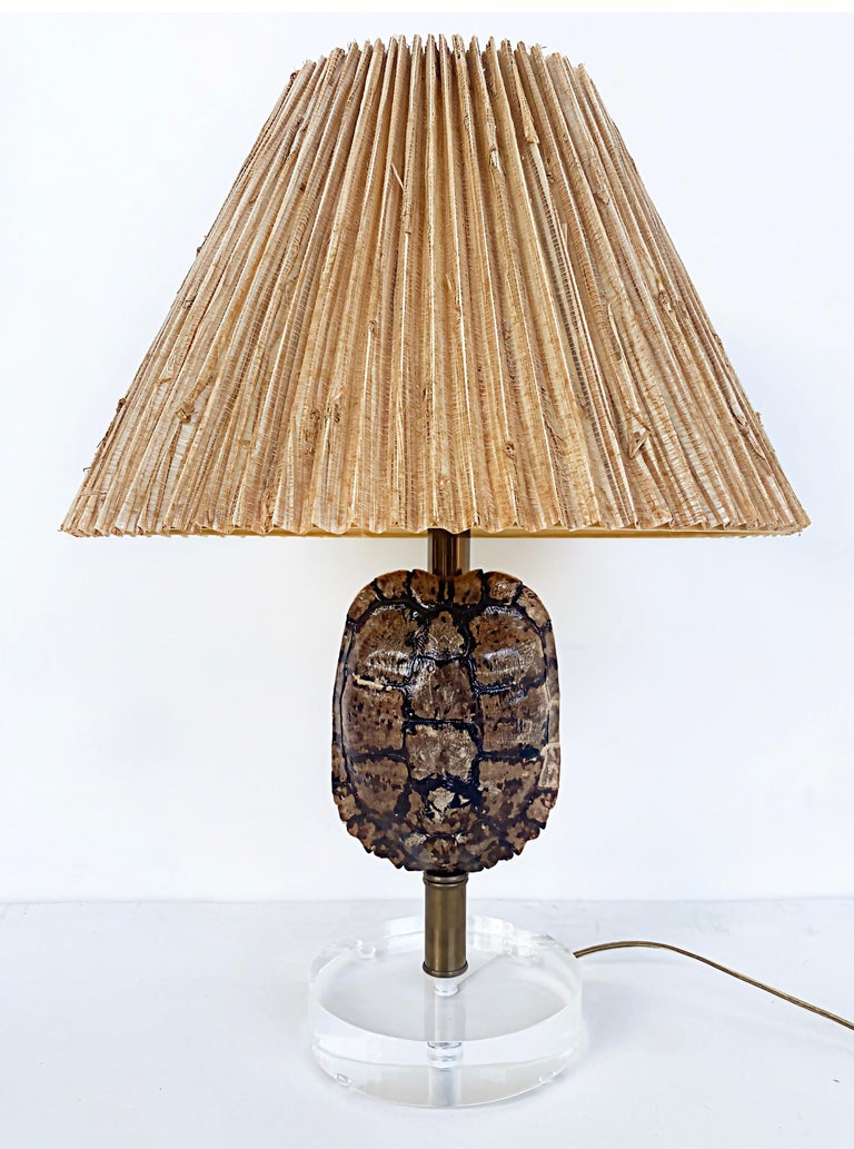 Mid-Century Modern Turtle Shell Table Lamp with Lucite Base and Custom ...