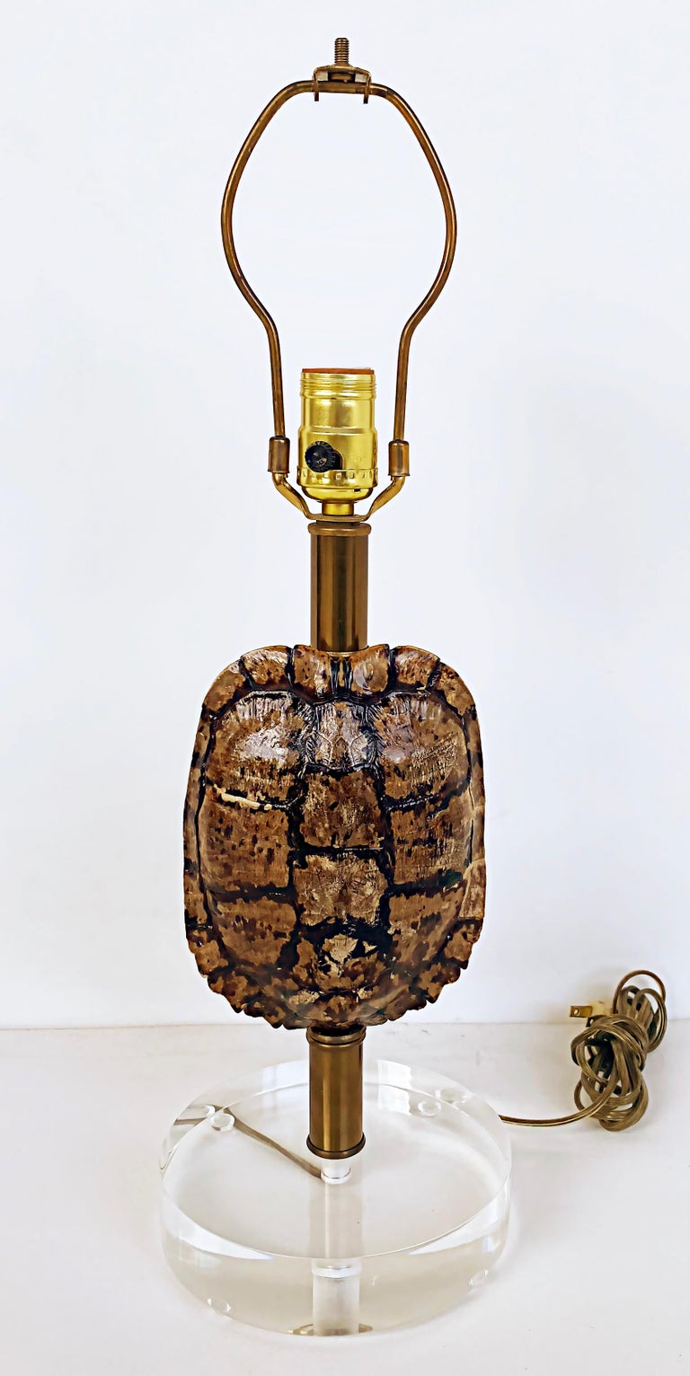 Mid-Century Modern Turtle Shell Table Lamp with Lucite Base and Custom ...