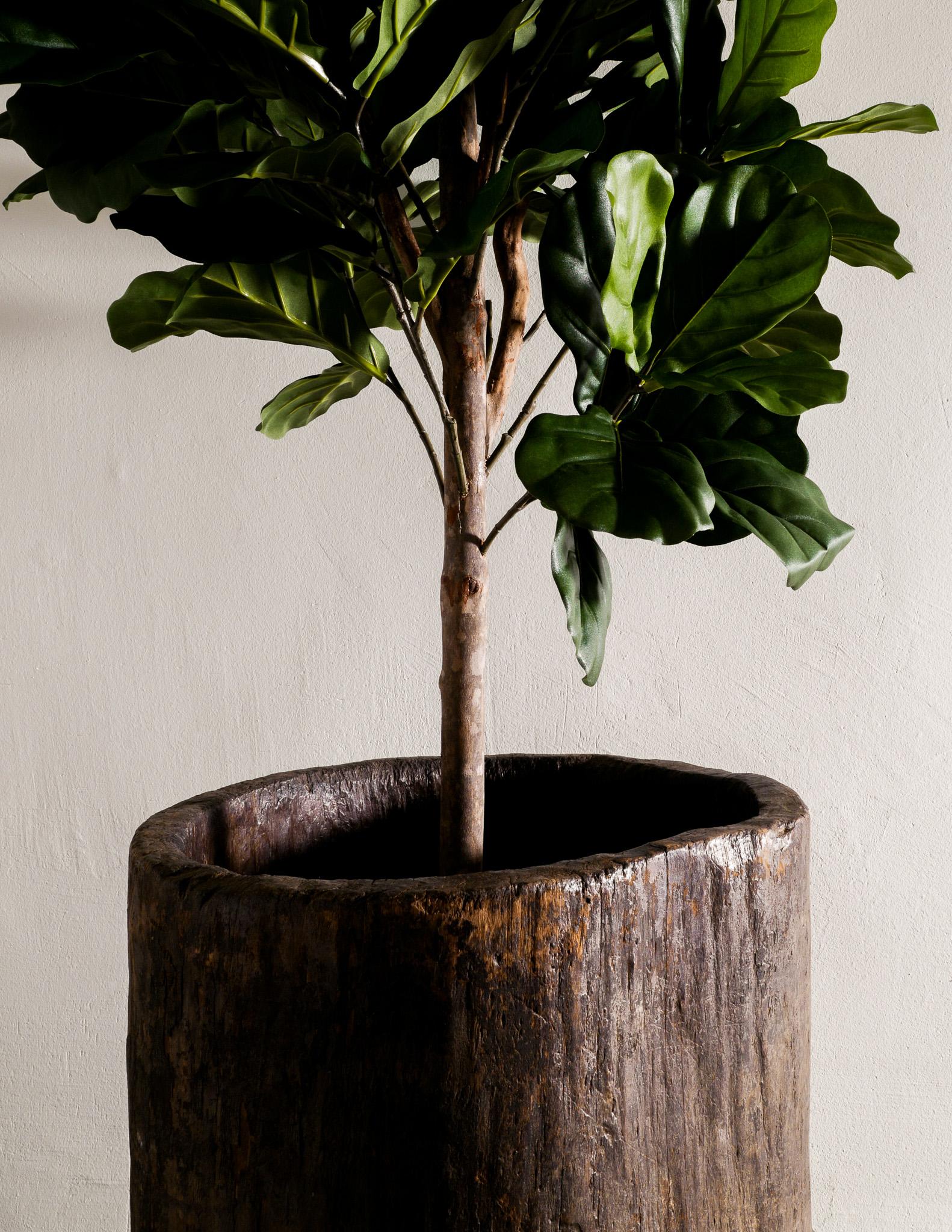 Mid Century Naga Wooden Planter in Teak and Wabi Sabi Style Produced in ...