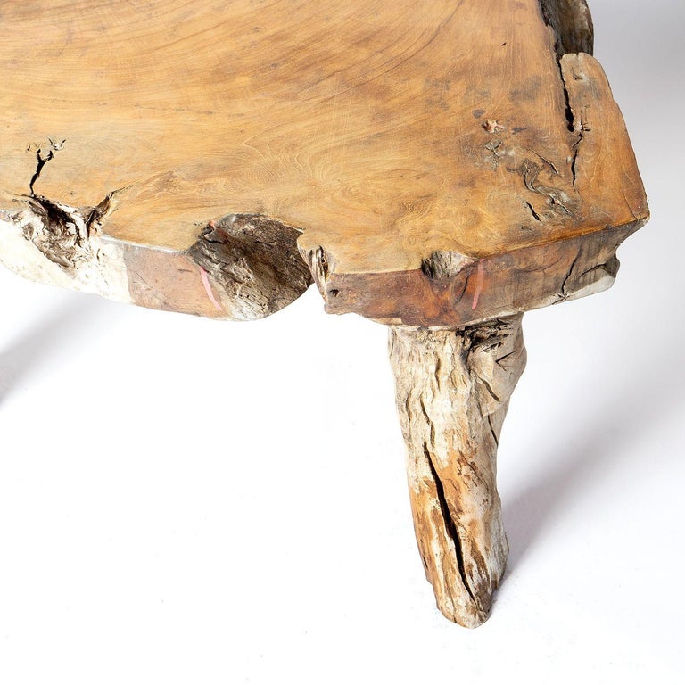 Mid Century Naturalistic Brutalist Tree Trunk Coffee Table, c. 1960s ...