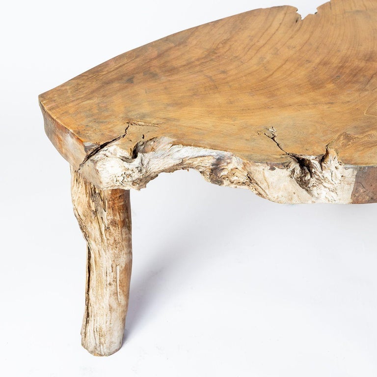 Mid Century Naturalistic Brutalist Tree Trunk Coffee Table, c. 1960s ...