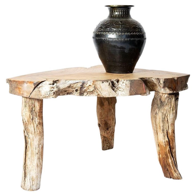 Mid Century Naturalistic Brutalist Tree Trunk Coffee Table, c. 1960s ...