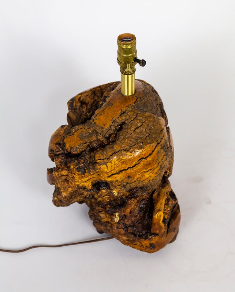 Mid Century Redwood Burl Lamp For Sale at 1stDibs