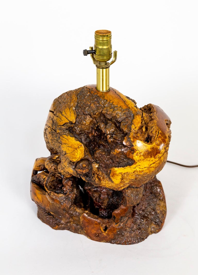 Mid Century Redwood Burl Lamp For Sale at 1stDibs