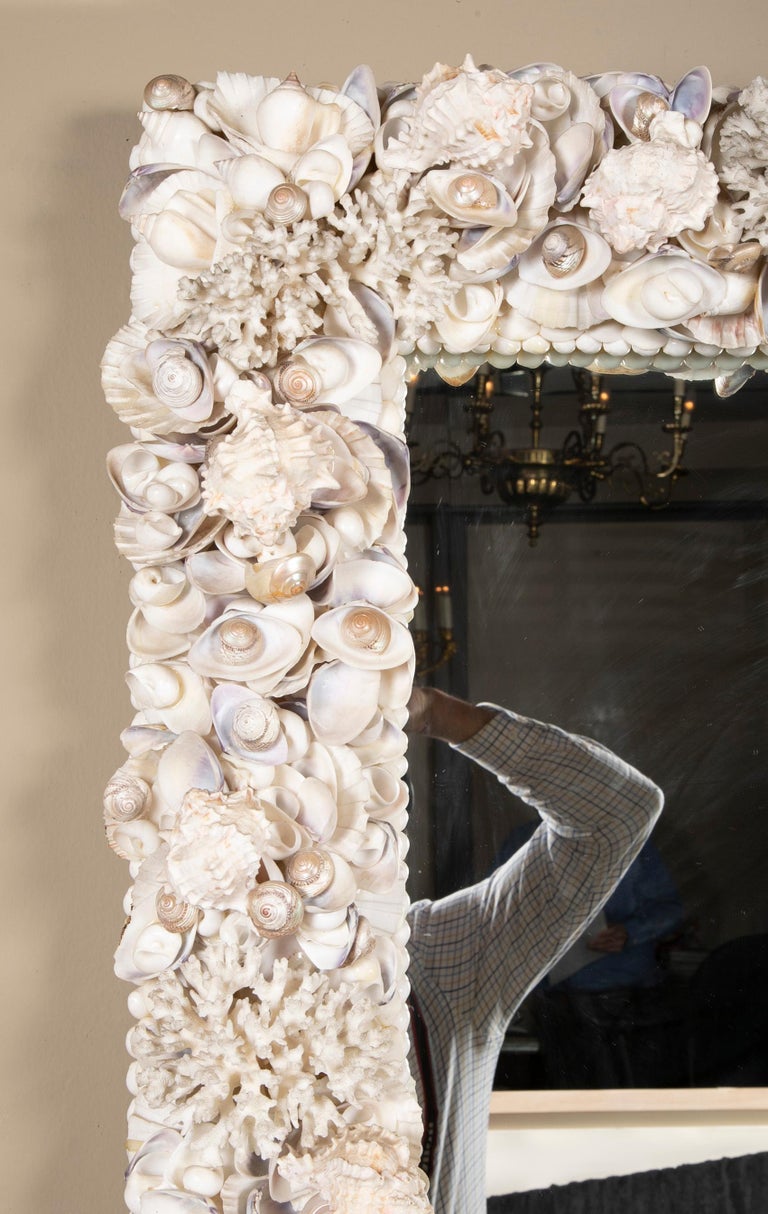 Midcentury Sea Shell and Coral Wall Mirror at 1stDibs