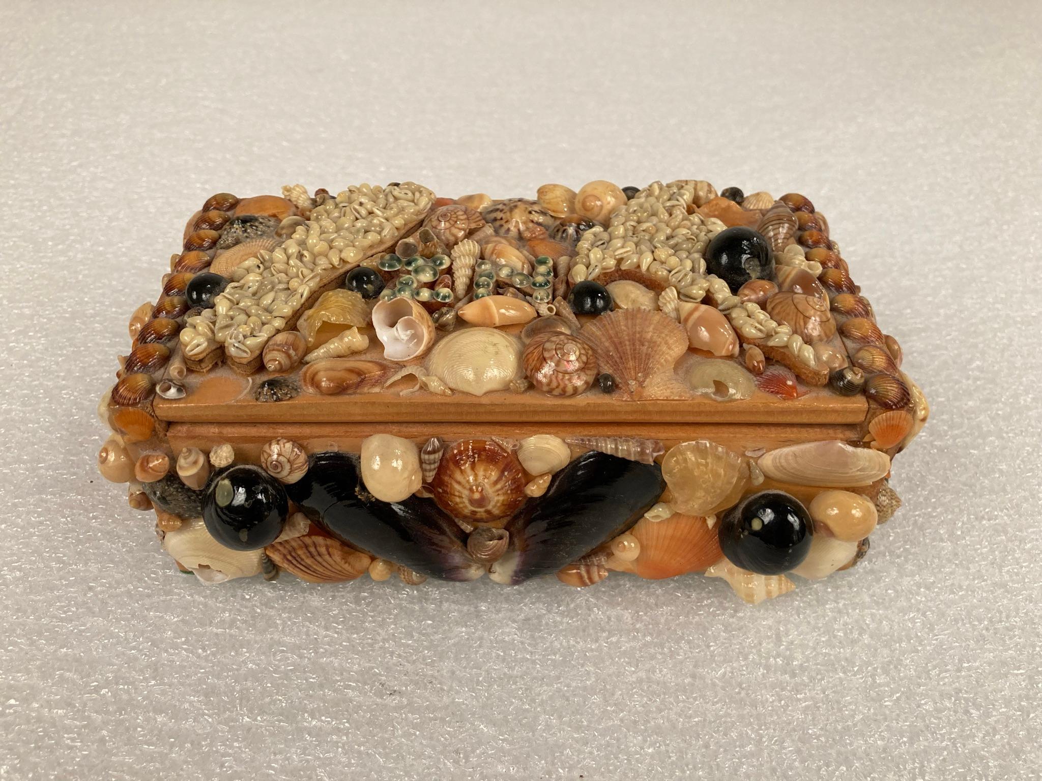 Mid Century Sea Shell Trinket Box at 1stDibs | seashell trinket box