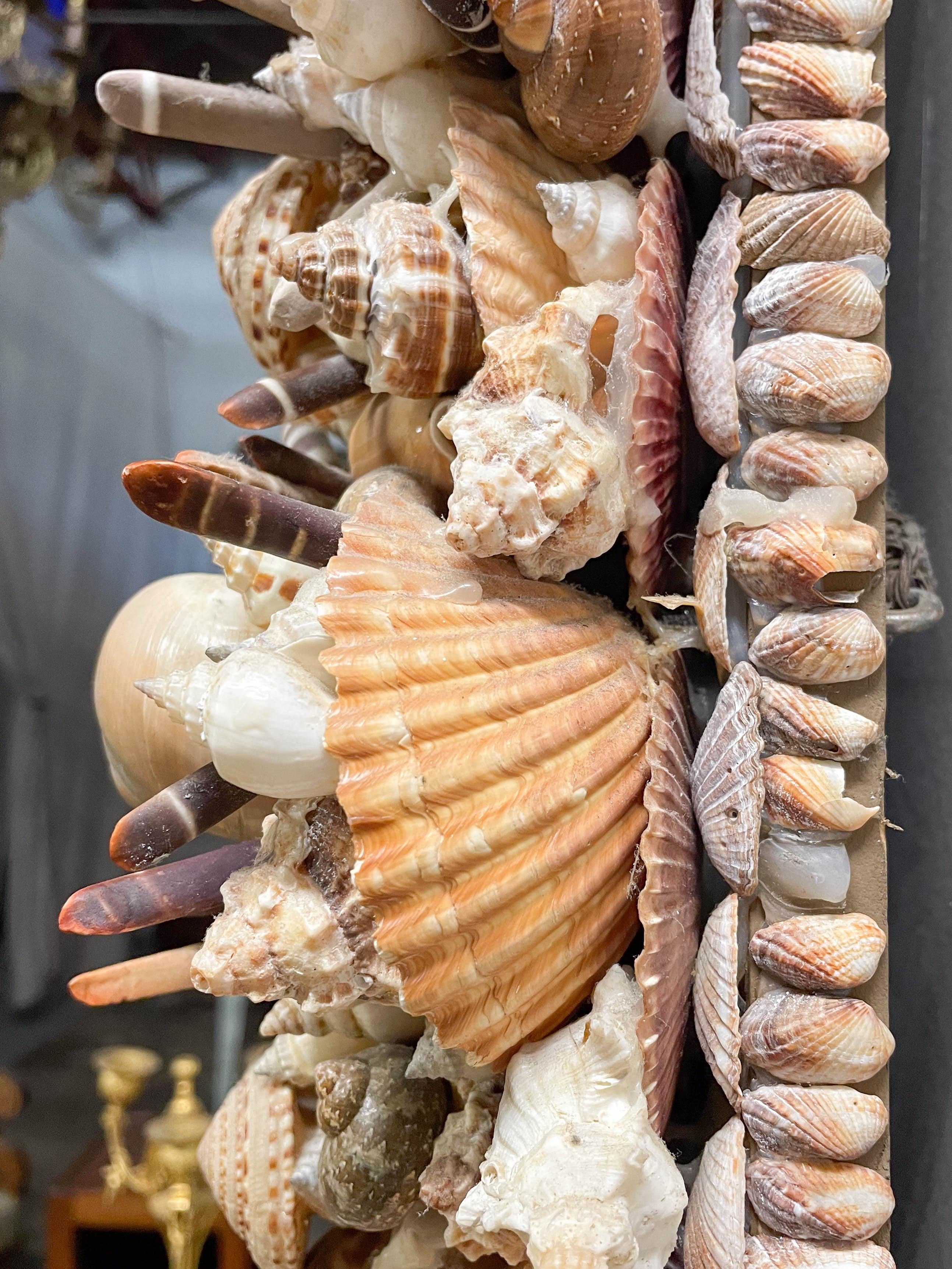 Mid Century Seashell Encrusted Wall Mirror For Sale at 1stDibs