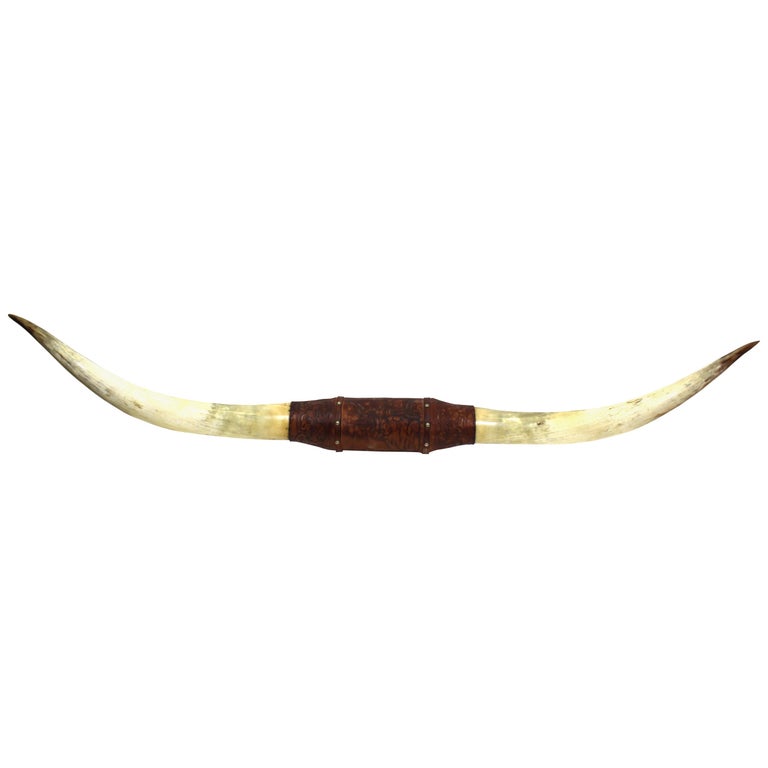 Midcentury Texas Longhorn Mounted with Tooled Leather at 1stDibs | bull ...