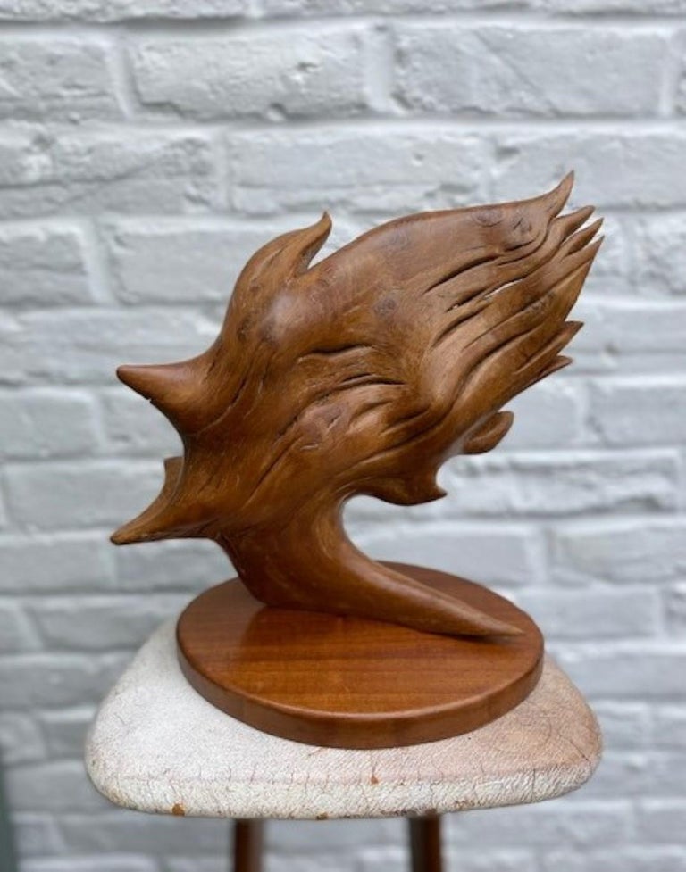 Mid-Century Tree Root Wood Sculpture Carving on Teak Base, French, 1960 ...