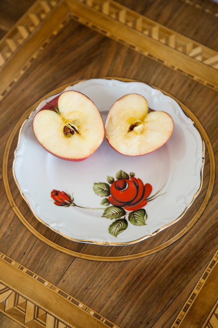 Midcentury Vintage Rose Decorative Porcelain Plate, Germany, 1970s For ...