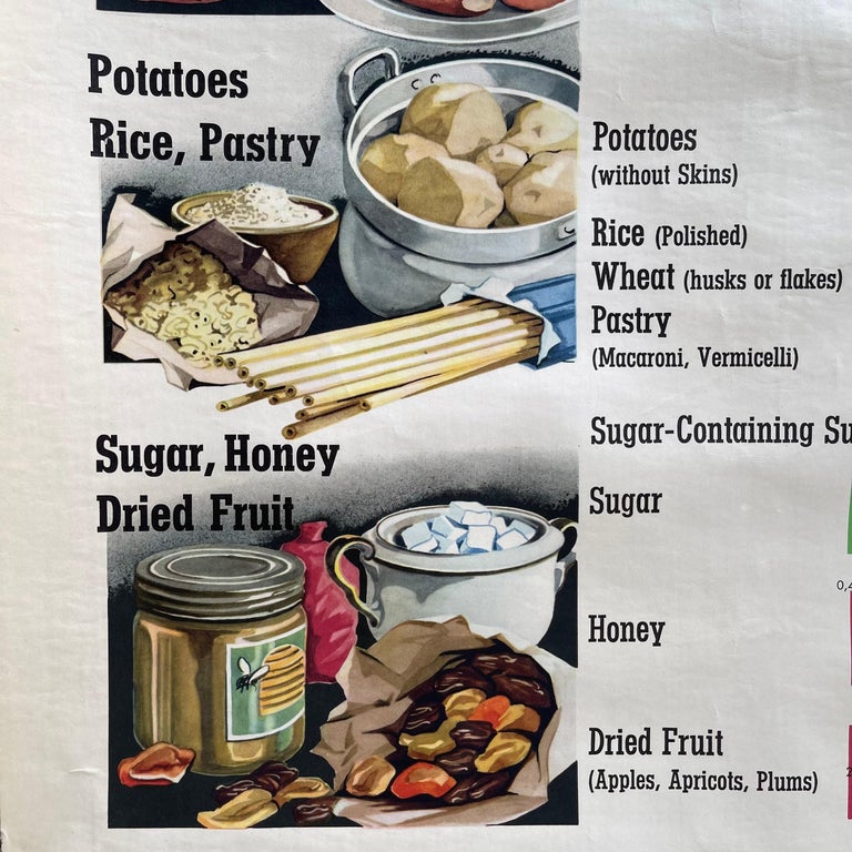 Mid-Century Educational Common Foods Roll Up Chart For Sale at 1stDibs