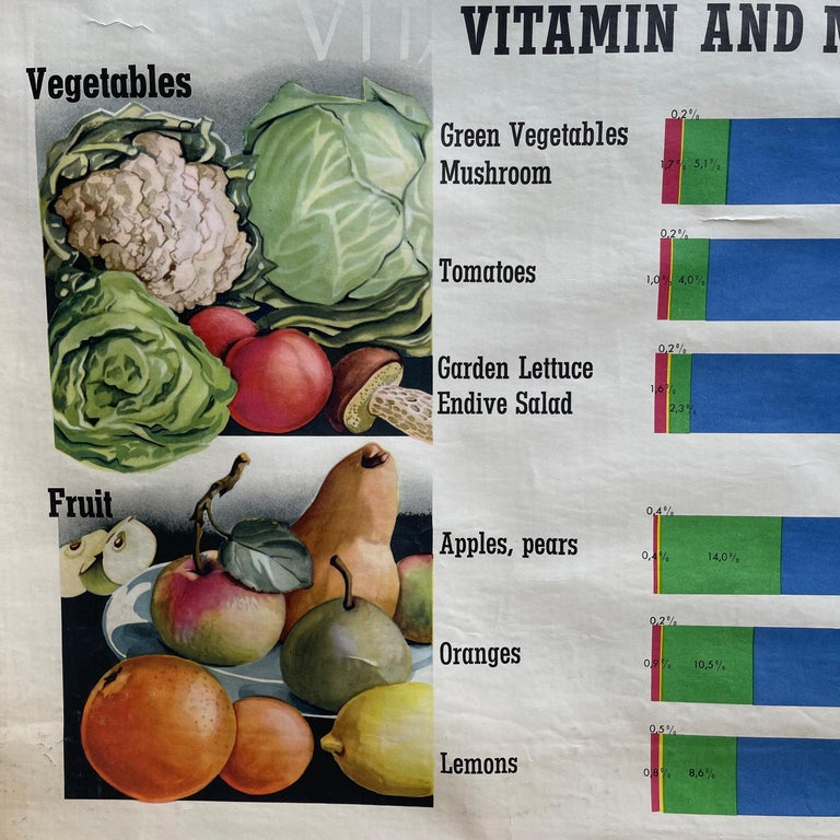 Mid-Century Educational Common Foods Roll Up Chart For Sale at 1stDibs