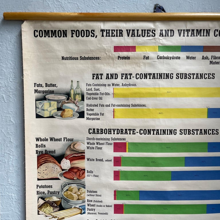 Mid-Century Educational Common Foods Roll Up Chart For Sale at 1stDibs