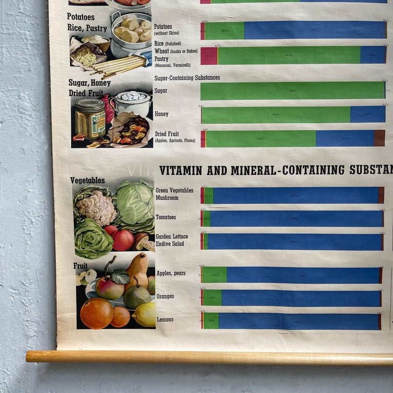 Mid-Century Educational Common Foods Roll Up Chart For Sale at 1stDibs