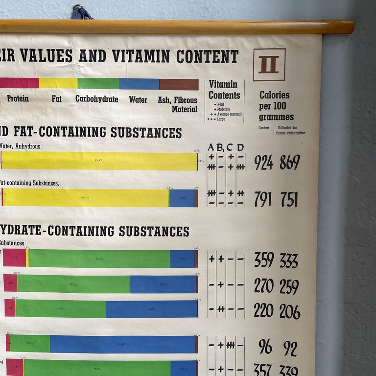 Mid-Century Educational Common Foods Roll Up Chart For Sale at 1stDibs