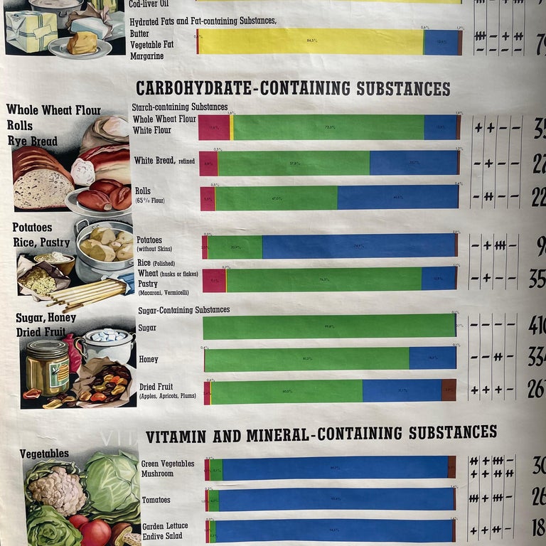 Mid-Century Educational Common Foods Roll Up Chart For Sale at 1stDibs