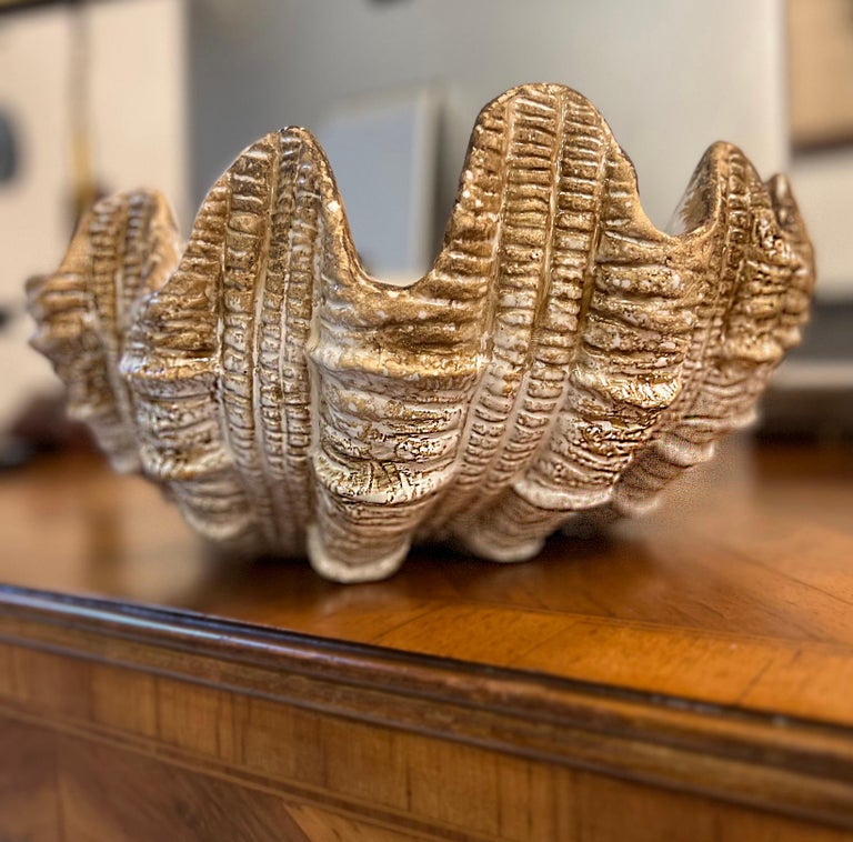 Midcentury Italian Porcelain Shell For Sale at 1stDibs