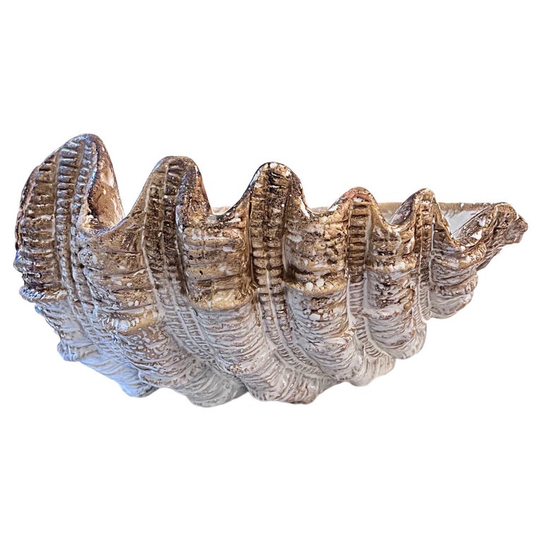 Midcentury Italian Porcelain Shell For Sale at 1stDibs