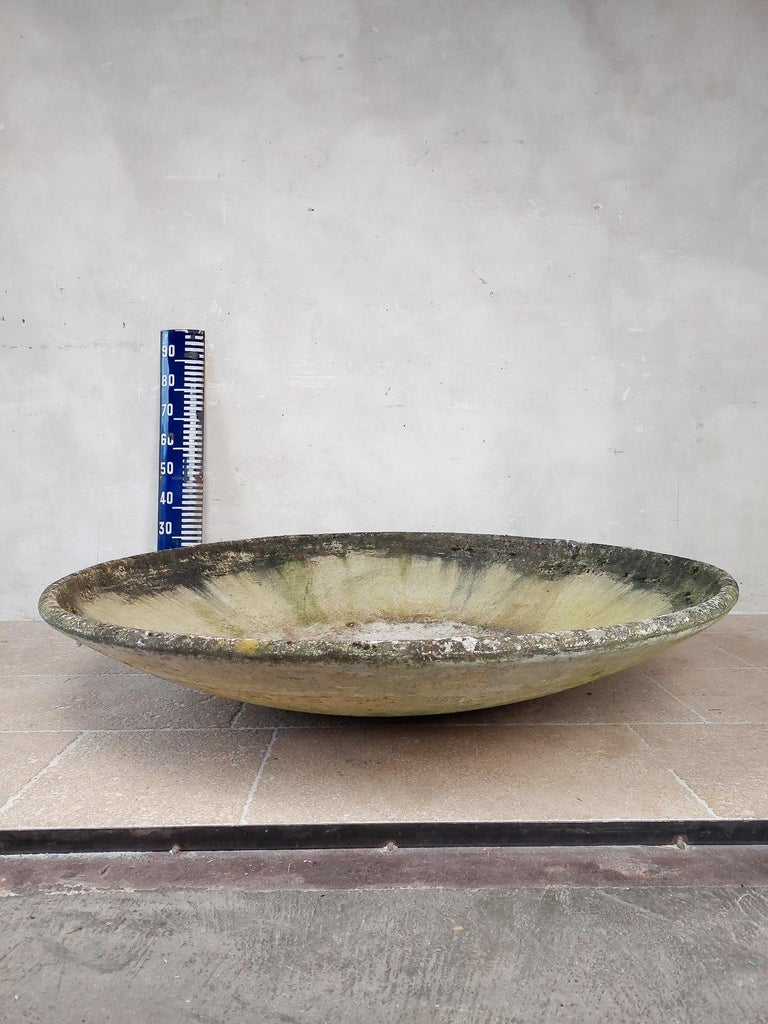 Midcentury Large Shallow Willy Guhl Planter by Eternit For Sale at 1stDibs