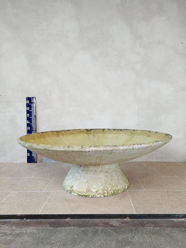 Midcentury Large Shallow Willy Guhl Planter on Base by Eternit For Sale ...