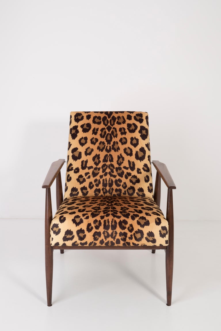 Midcentury Leopard Print Velvet Dante Armchair, H. Lis, 1960s For Sale ...
