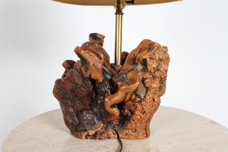 Mid Century Organic Rustic Modern Tree Root Lamp For Sale at 1stDibs
