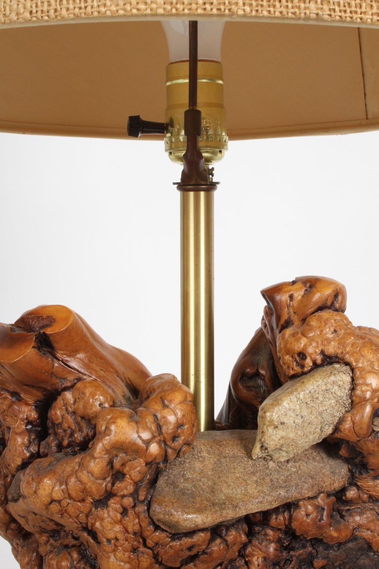Mid Century Organic Rustic Modern Tree Root Lamp For Sale at 1stDibs